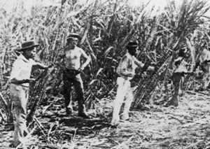 What is 'blackbirding'? | Publication Coach