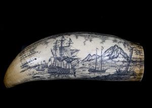 What is a scrimshaw?................ | Publication Coach